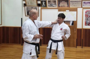 4 Styles of Okinawan Karate Trial Course | Visit Karate Okinawa – by ...
